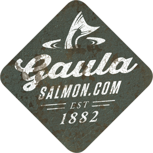 Salmon Fishing Gaula // Winsnes